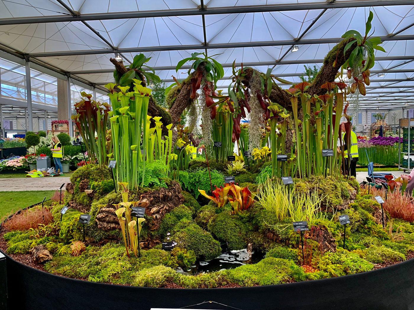Display Hire – Hewitt-Cooper Carnivorous Plants